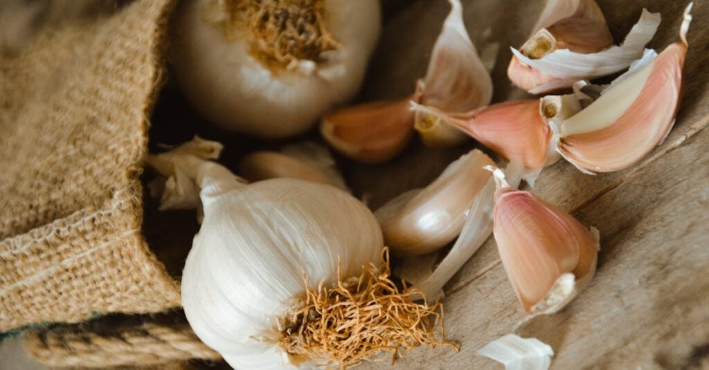 Home Remedies For Garlic Breath: Natural Ways To Smell Fresh Again ...